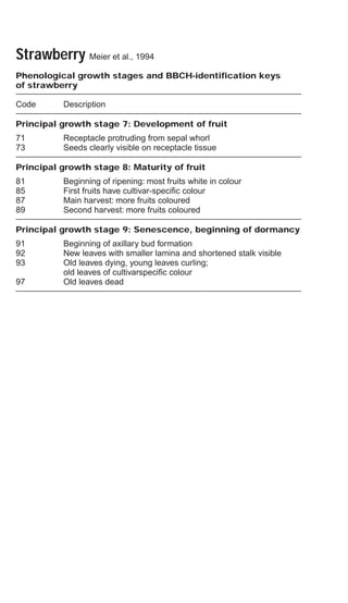 BBCH | PDF
