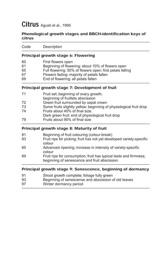 BBCH | PDF