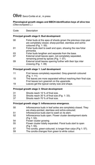 BBCH | PDF