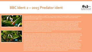 Bbc ident research v4 | PPT