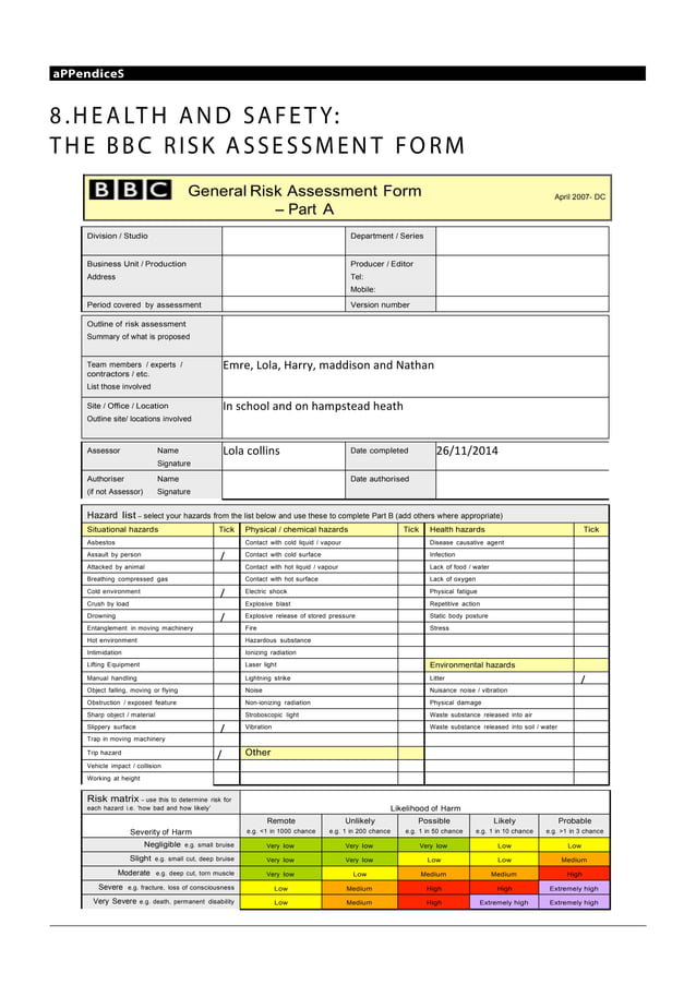 Bb risk assessment | PDF | Injuries | Diseases and Conditions