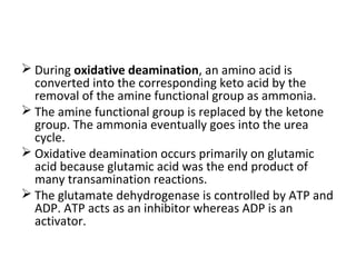TRANSDEAMINATION AND DEAMINATION | PPT