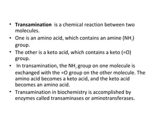 TRANSDEAMINATION AND DEAMINATION | PPT