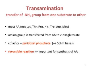 TRANSDEAMINATION AND DEAMINATION | PPT