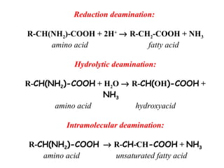 TRANSDEAMINATION AND DEAMINATION | PPT
