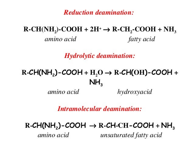 TRANSDEAMINATION AND DEAMINATION