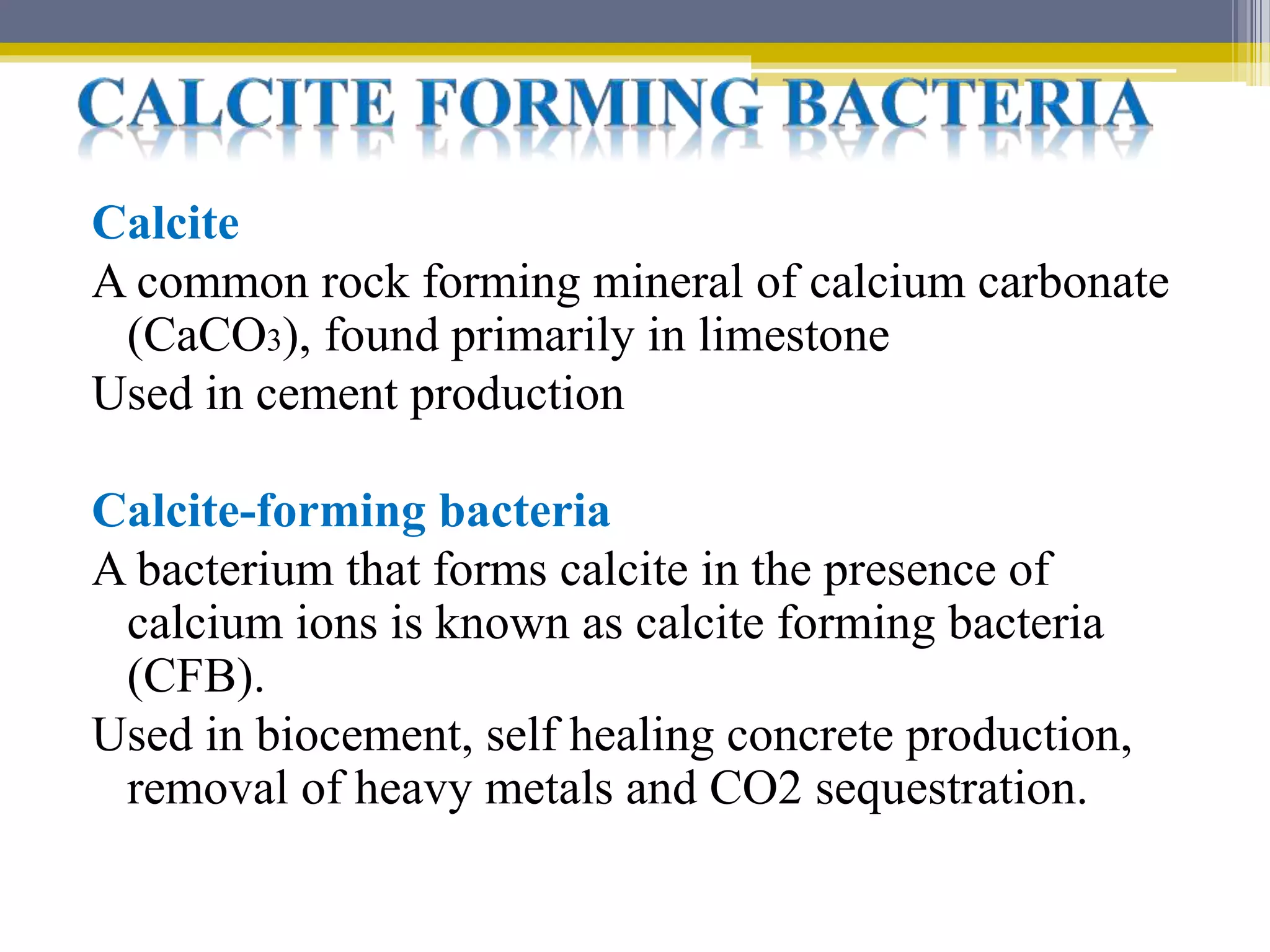Biomineralization | PPTX