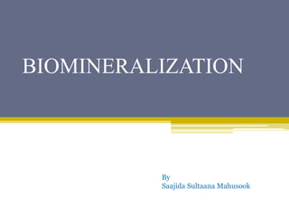Biomineralization | PPTX | Chemistry | Science
