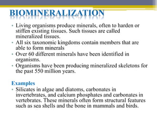 Biomineralization | PPTX | Chemistry | Science