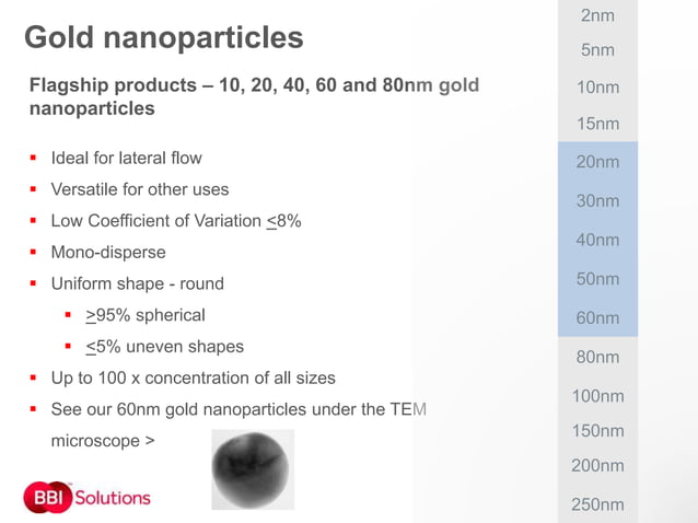 BBI Solutions - Nanoparticles | PPTX | Chemistry | Science