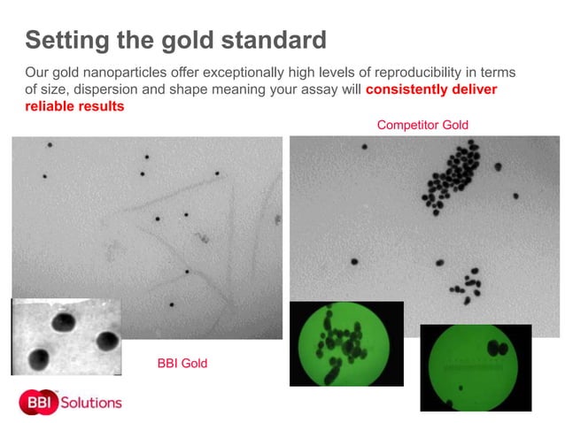 BBI Solutions - Nanoparticles | PPTX | Chemistry | Science