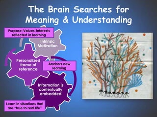 BBL Pecha Kucha | PPTX