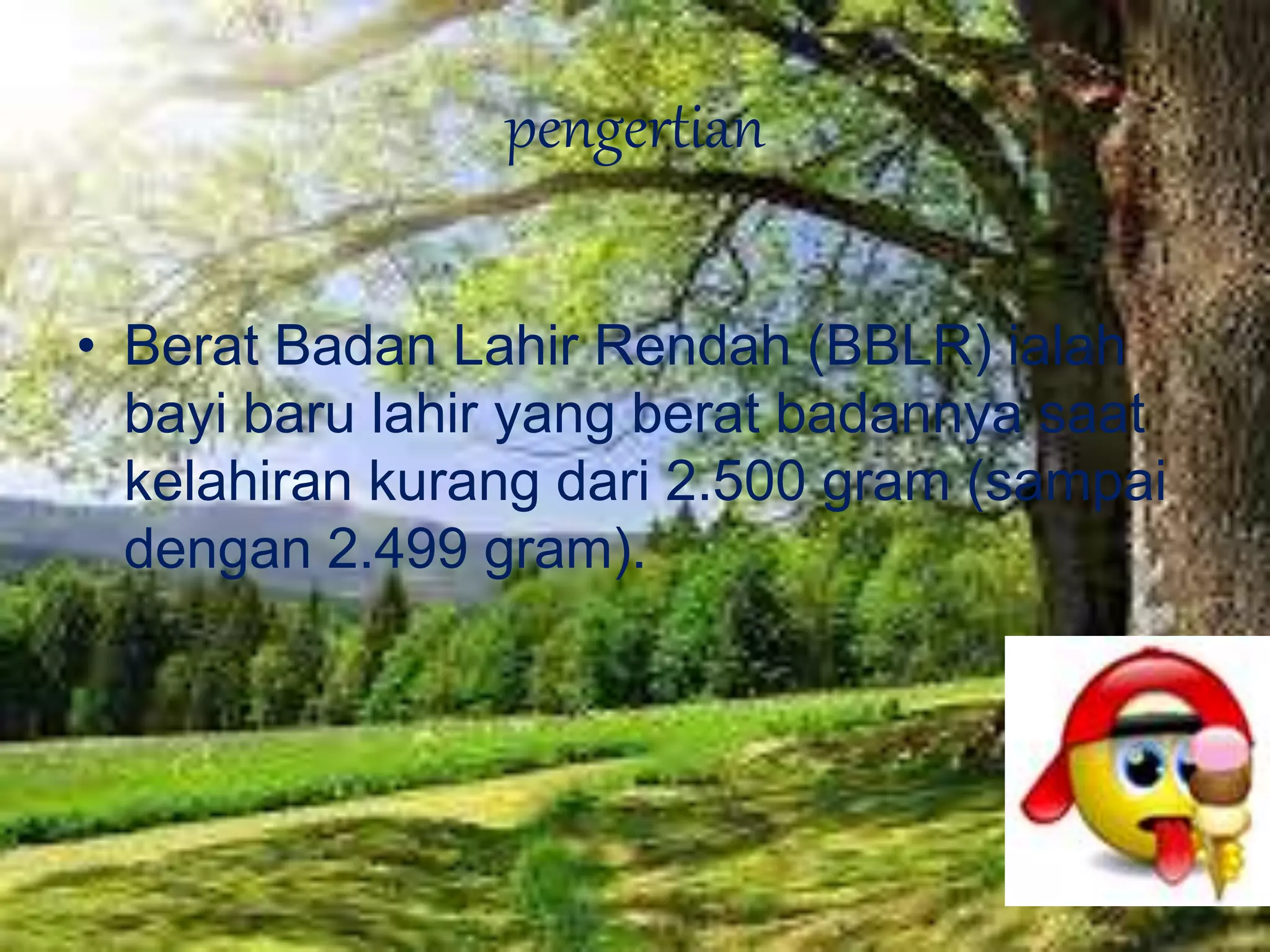 BBLR ( BAYI BERAT LAHIR RENDAH ) | PPTX