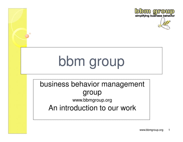 bbm Group An Introduction To Our Work | PPT