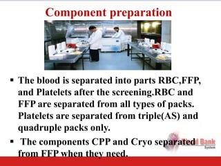 Online blood donor Management System | PPT