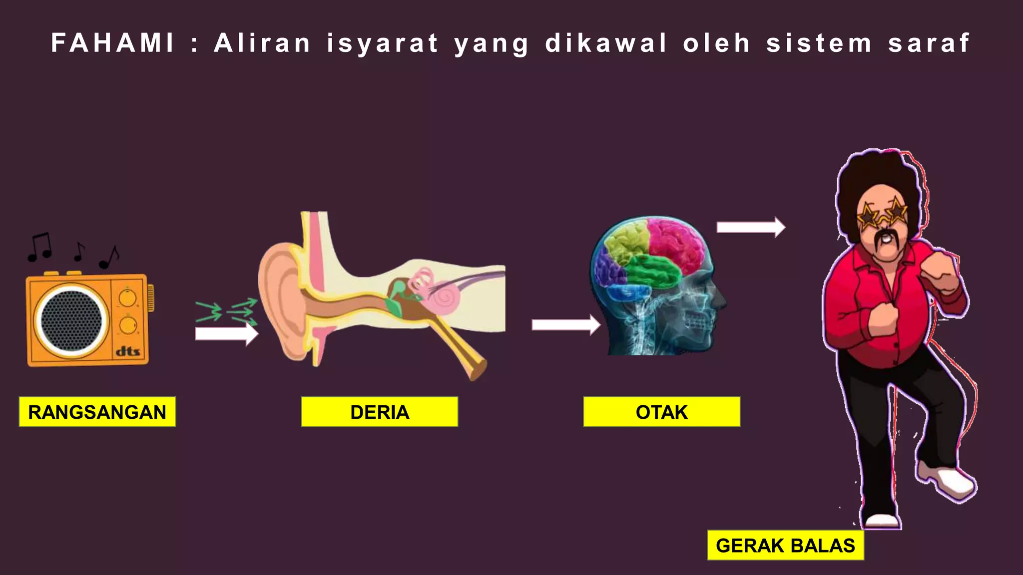 BBM UNIT 2 TAHUN 6 SISTEM SARAF.pptx
