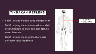 BBM UNIT 2 TAHUN 6 SISTEM SARAF.pptx