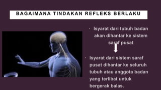 BBM UNIT 2 TAHUN 6 SISTEM SARAF.pptx