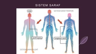 BBM UNIT 2 TAHUN 6 SISTEM SARAF.pptx