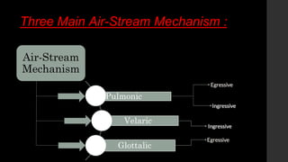 A_Study_Of_English_Language__Phonetics_-_Riddhi_Kevadiya.pptx