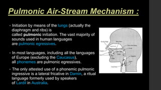 A_Study_Of_English_Language__Phonetics_-_Riddhi_Kevadiya.pptx