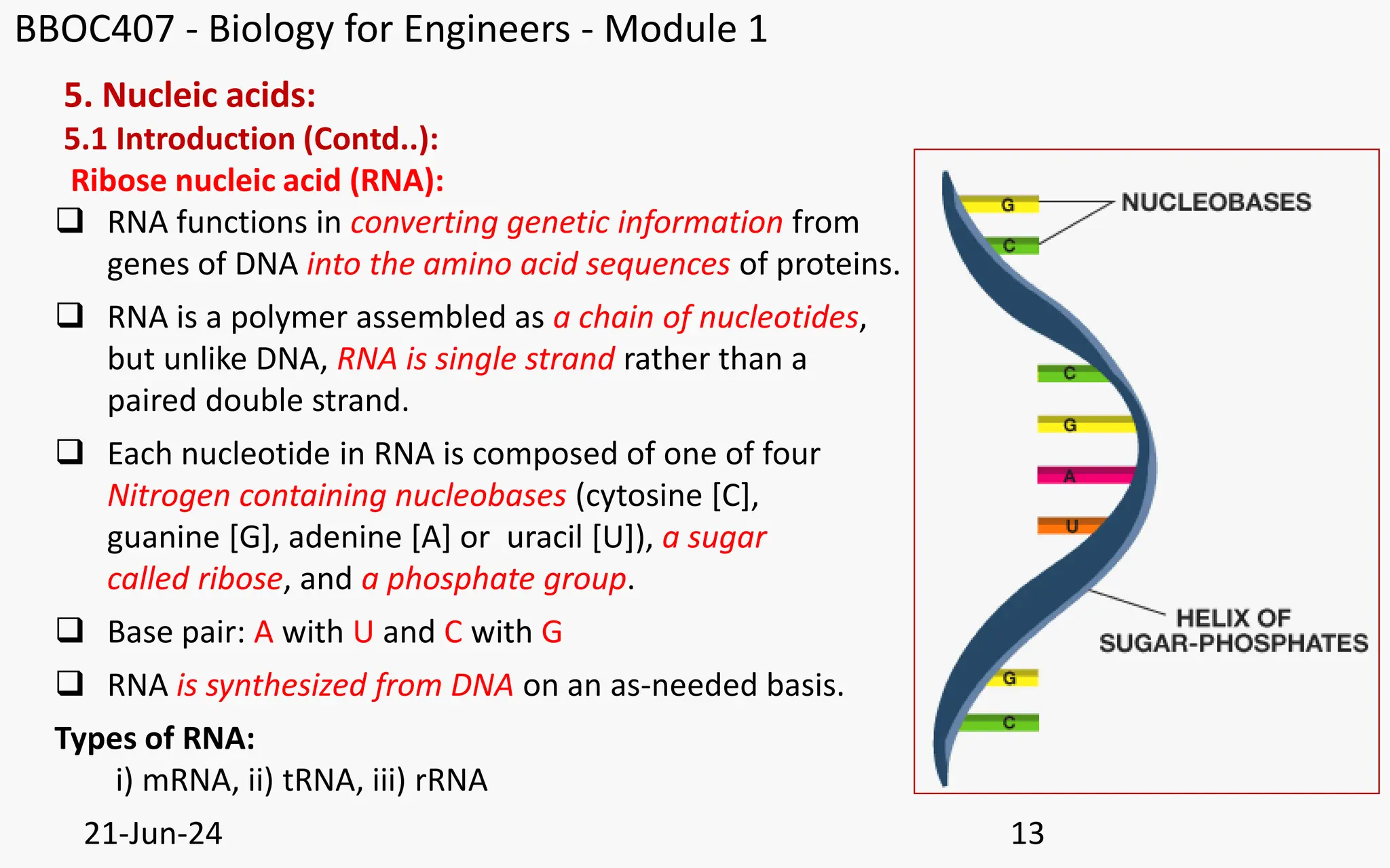 BBOC407 Module 1.pptx Biology for Engineers | PPTX