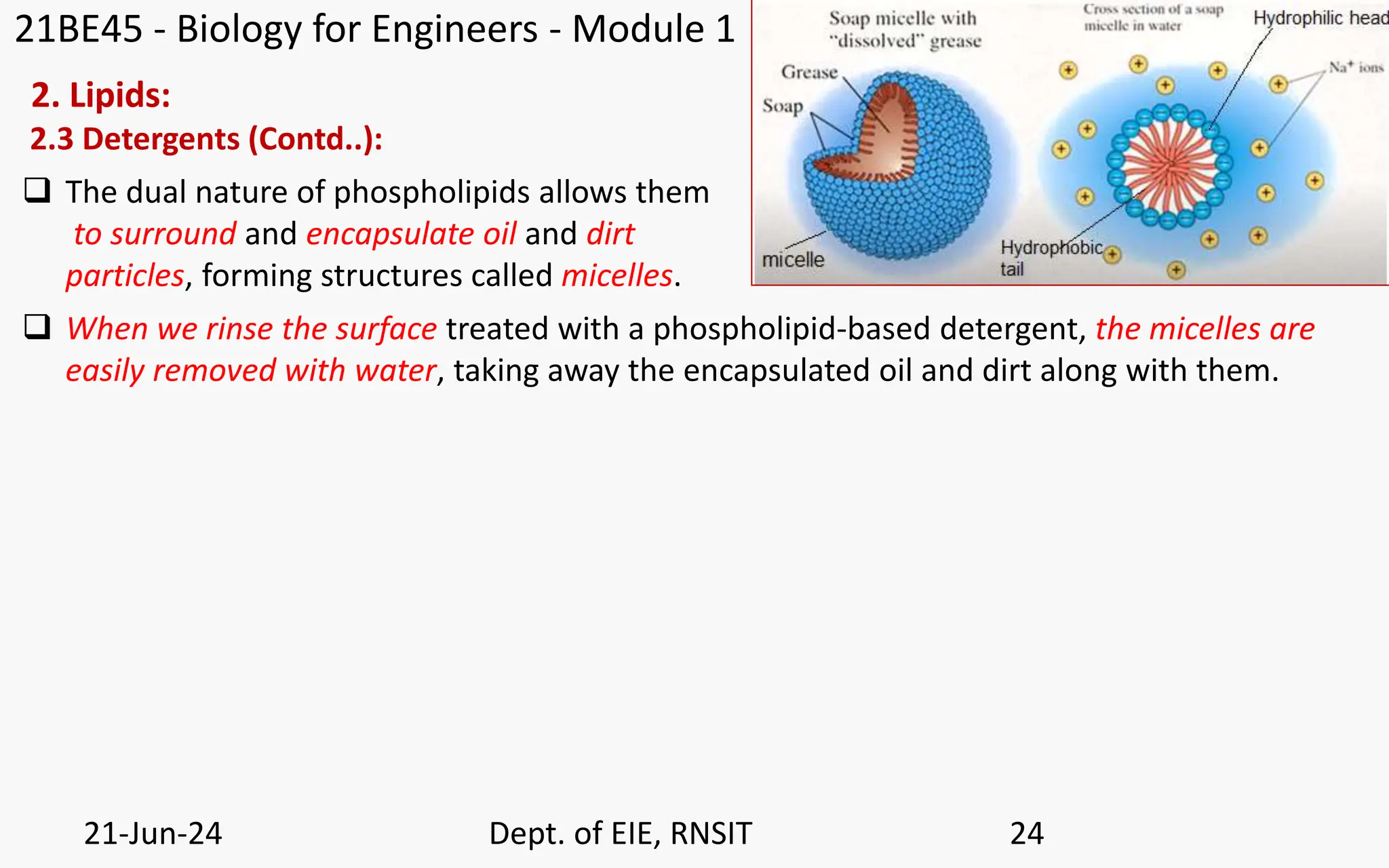 BBOC407 Module 1.pptx Biology for Engineers | PPTX