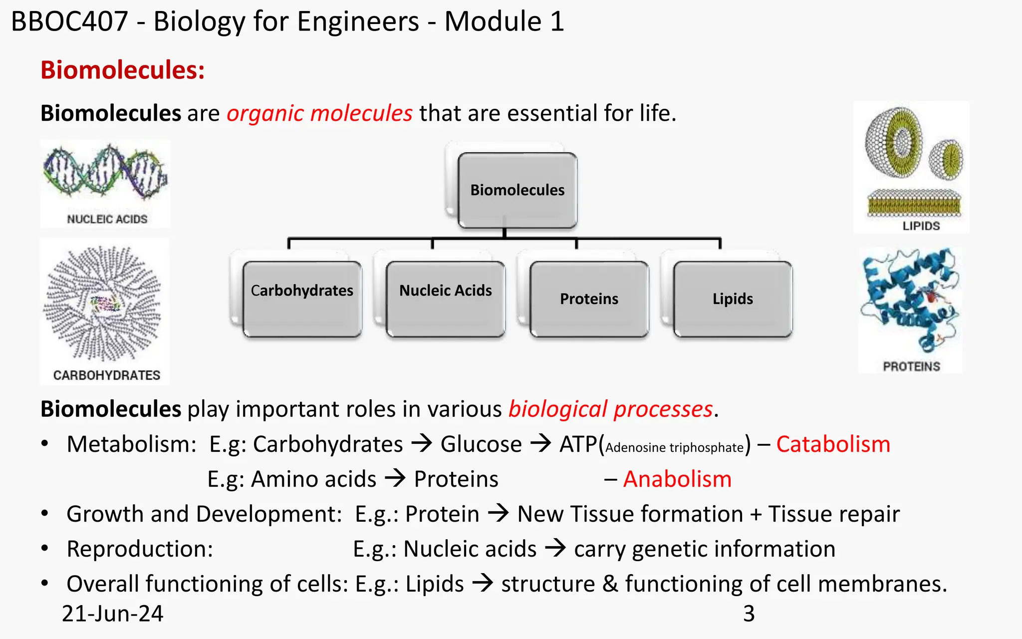 BBOC407 Module 1.pptx Biology for Engineers | PPTX