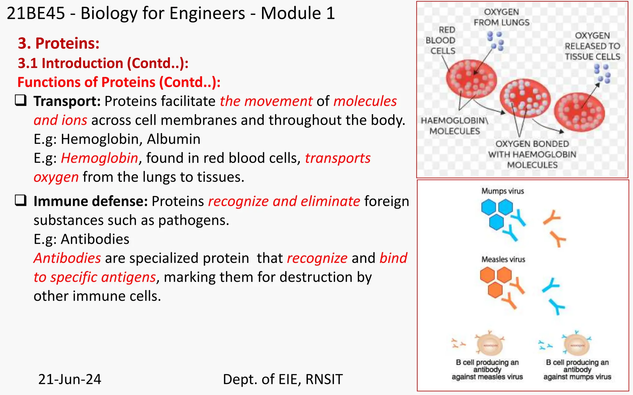 BBOC407 Module 1.pptx Biology for Engineers | PPTX