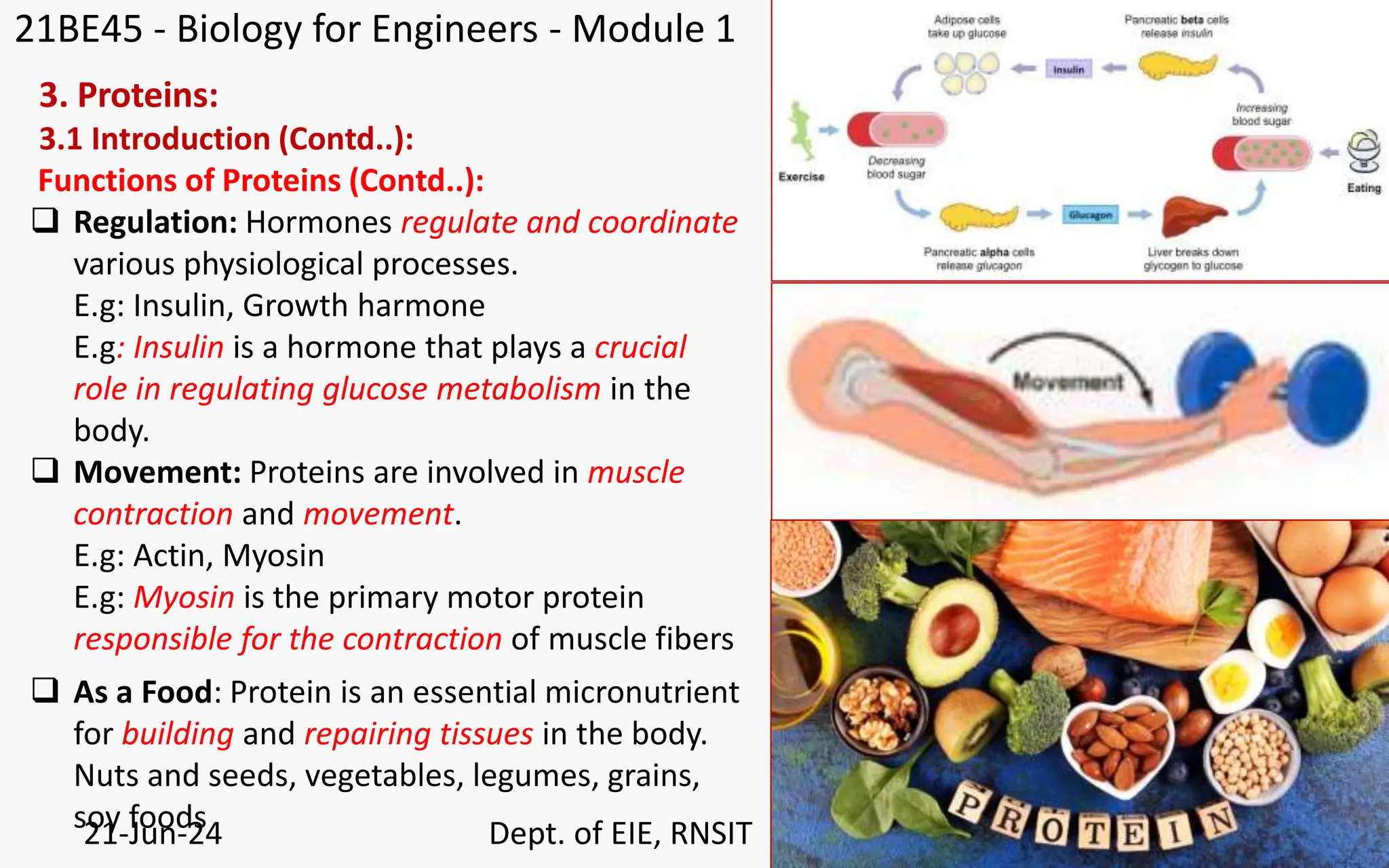 BBOC407 Module 1.pptx Biology for Engineers | PPTX
