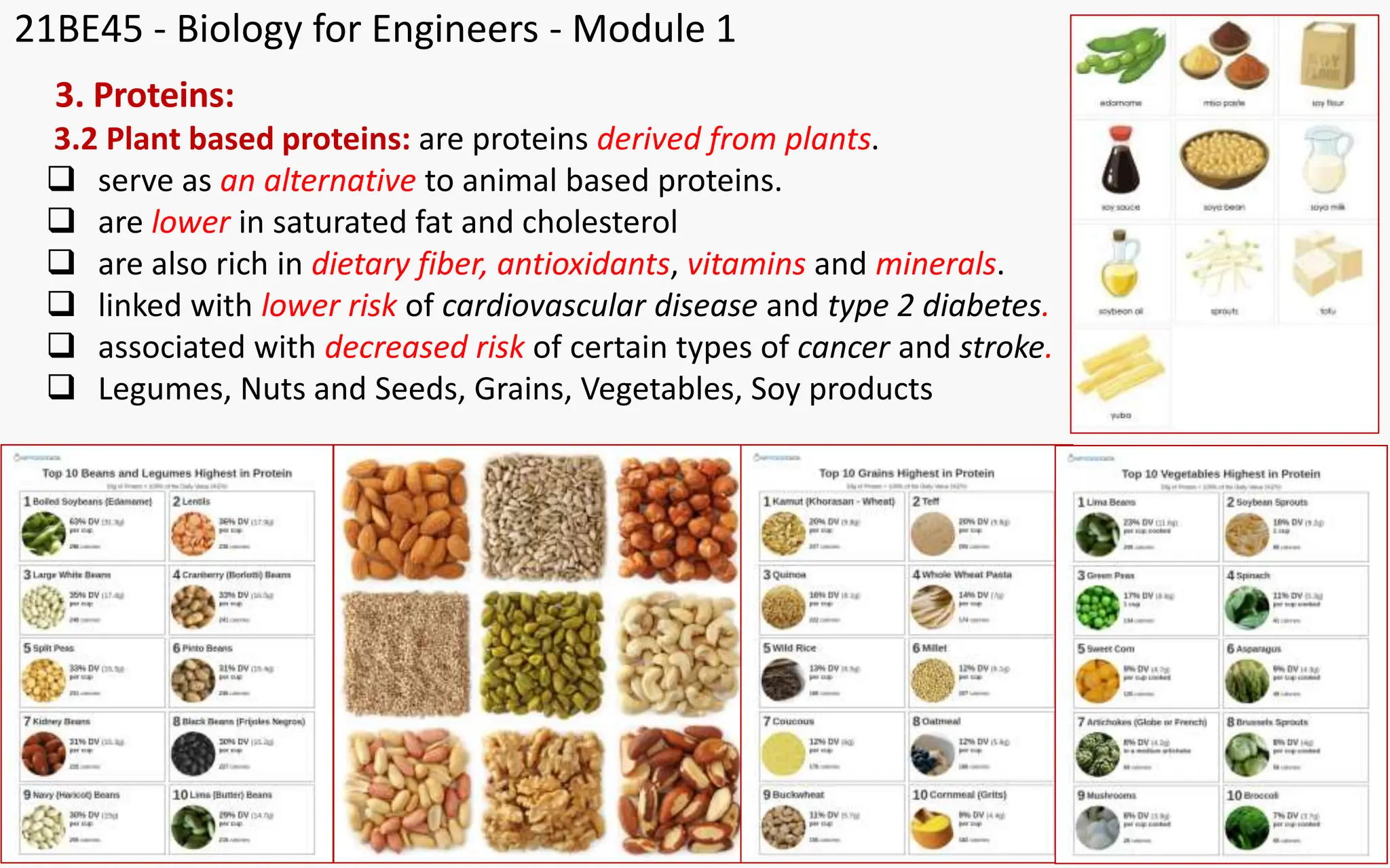 BBOC407 Module 1.pptx Biology for Engineers | PPTX