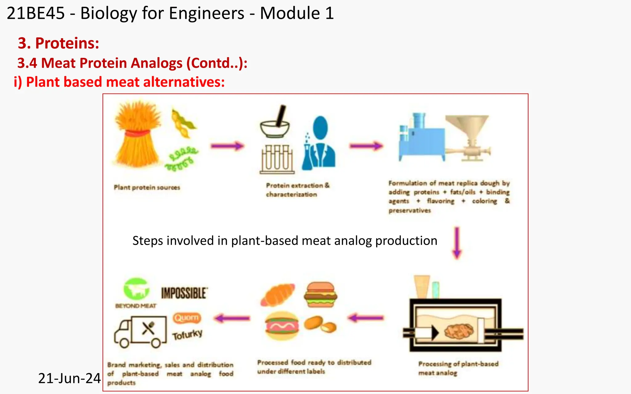 BBOC407 Module 1.pptx Biology for Engineers | PPTX