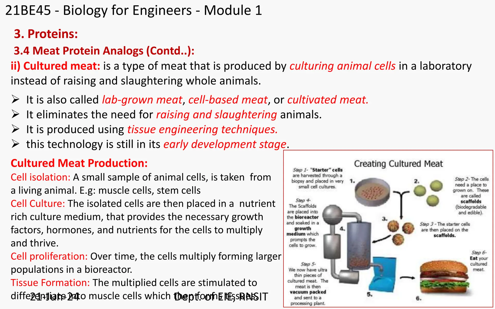 BBOC407 Module 1.pptx Biology for Engineers | PPTX