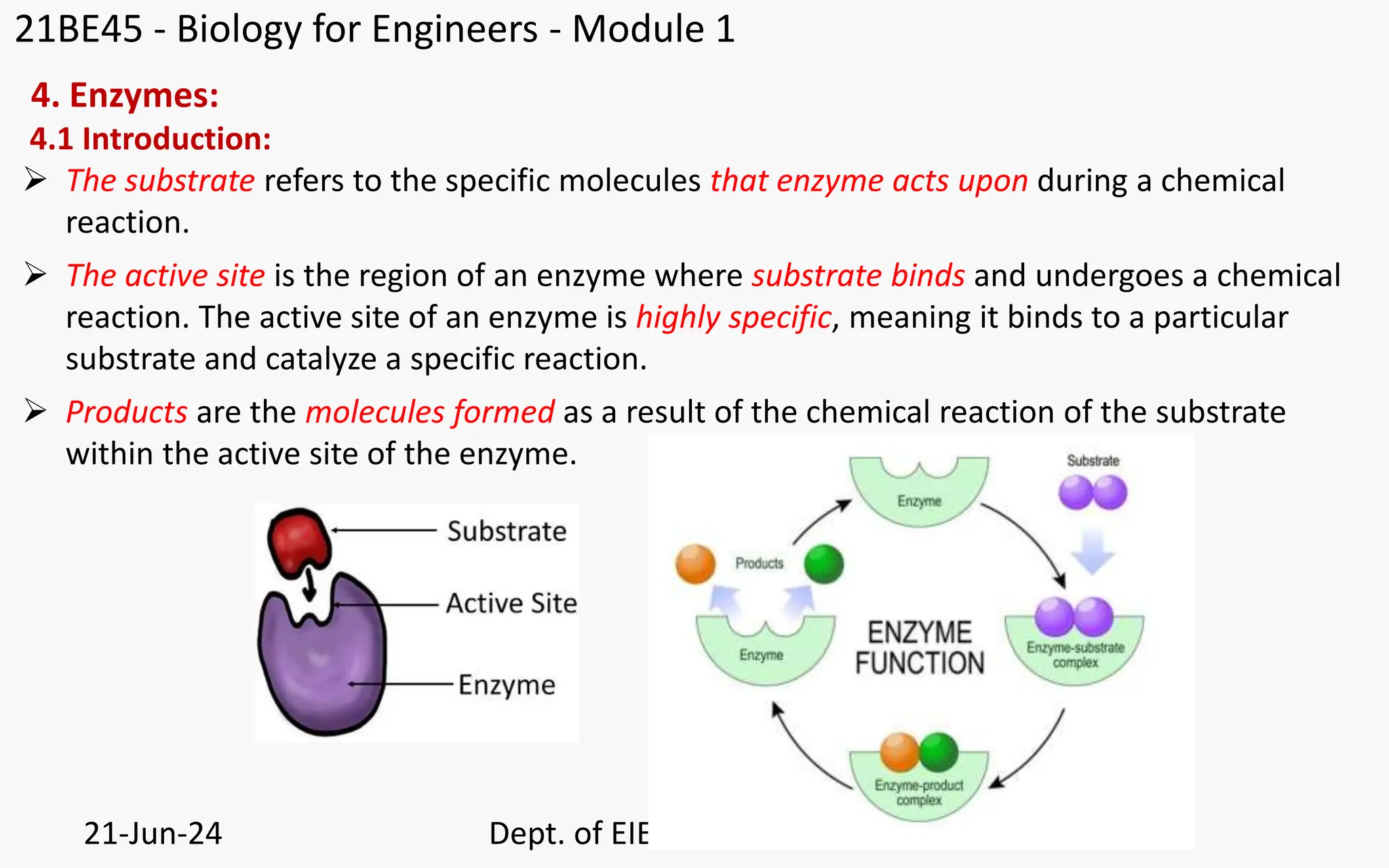 BBOC407 Module 1.pptx Biology for Engineers | PPTX