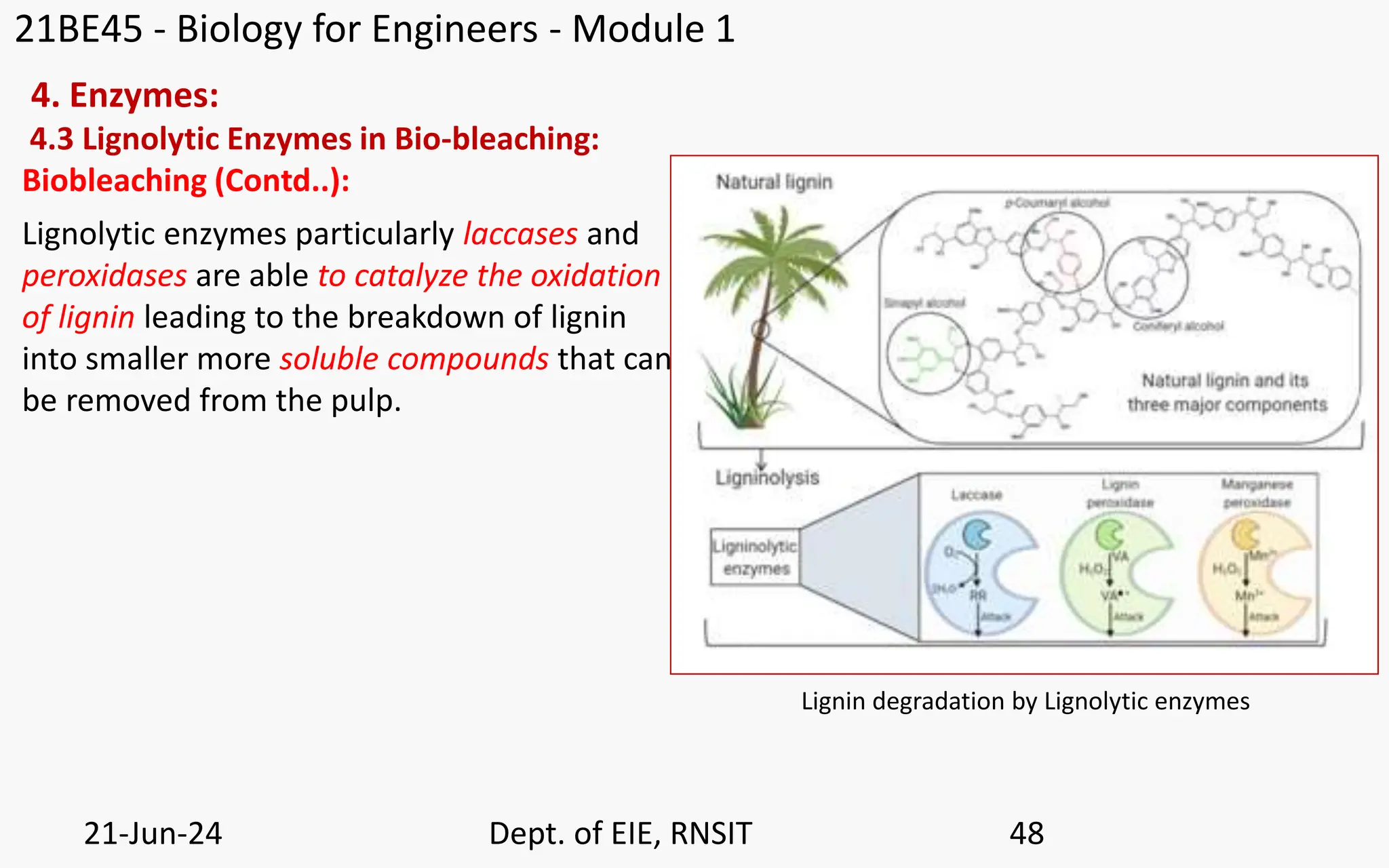 BBOC407 Module 1.pptx Biology for Engineers | PPTX