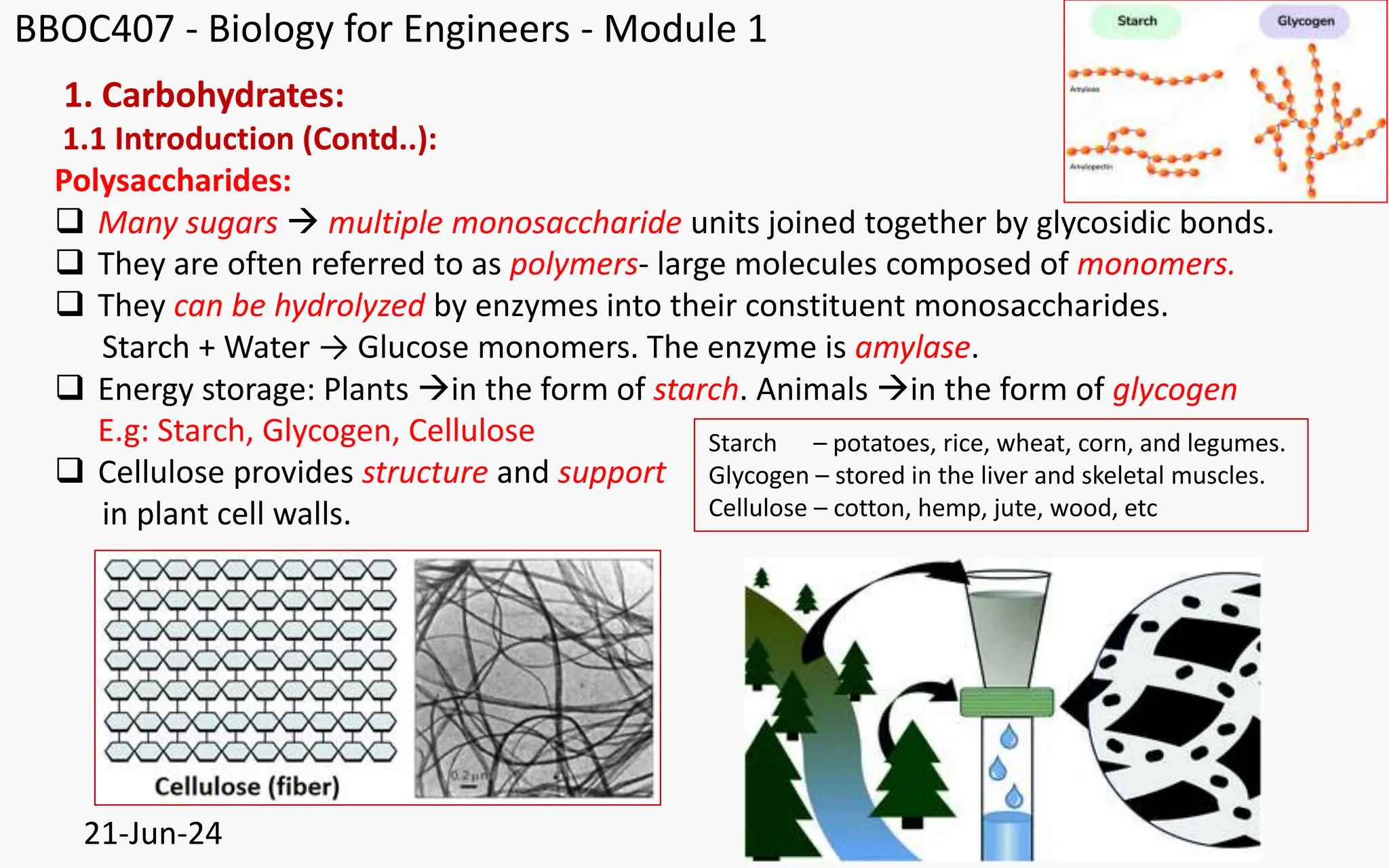 BBOC407 Module 1.pptx Biology for Engineers | PPTX