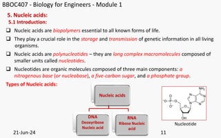 BBOC407 Module 1.pptx Biology for Engineers | PPTX