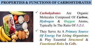 BBOC407 BIOLOGY FOR ENGINEERS (CS) - MODULE 1 PART 1.pptx