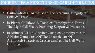 BBOC407 BIOLOGY FOR ENGINEERS (CS) - MODULE 1 PART 1.pptx