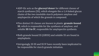 Metabolism of starch synthesis | PPTX