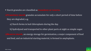 Metabolism of starch synthesis | PPTX