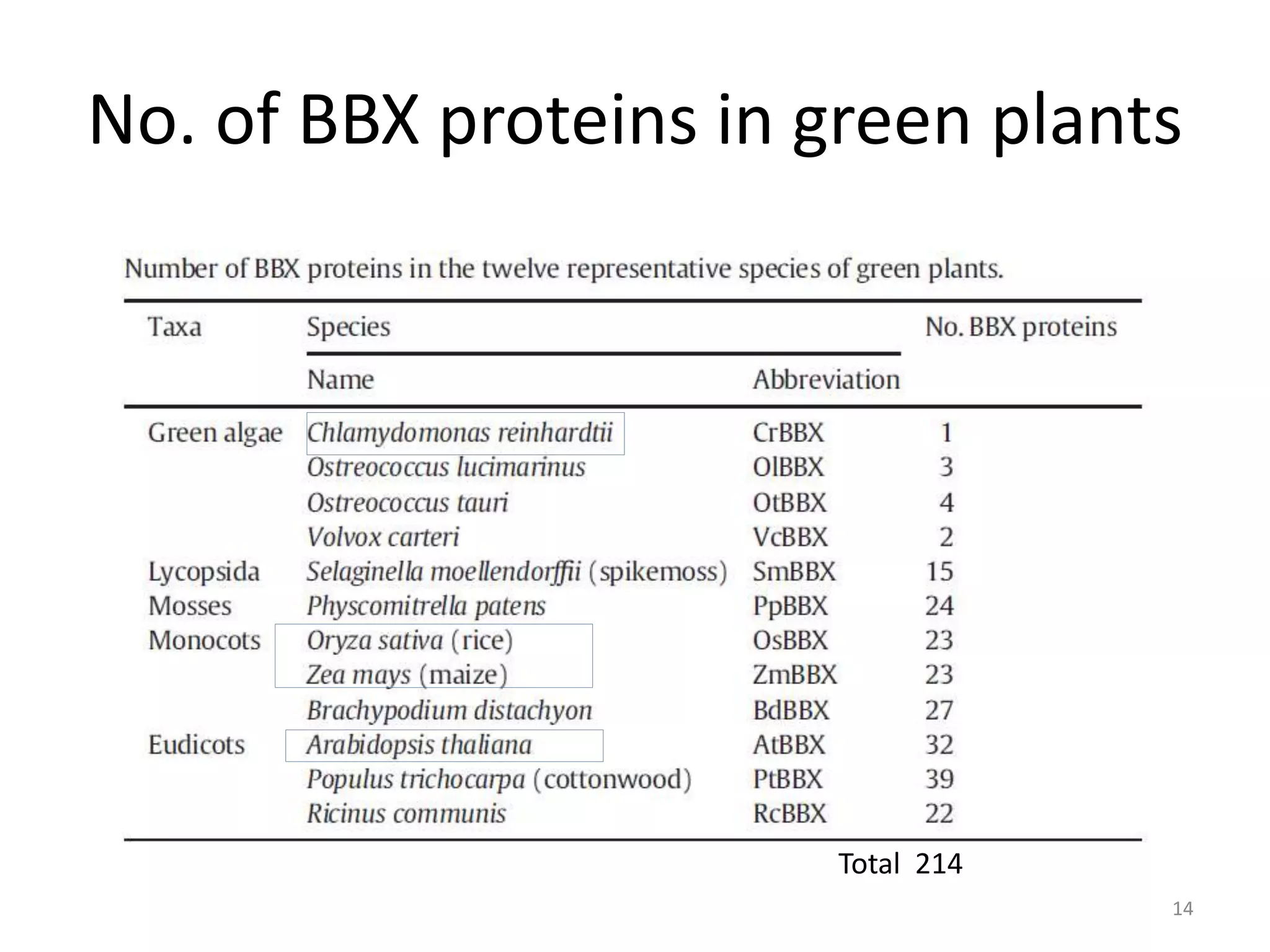 B-box proteins in plants bbx family of plant transcription factors | PPTX