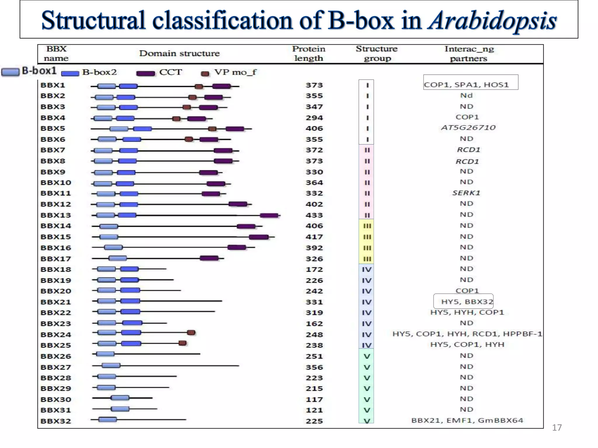 B-box proteins in plants bbx family of plant transcription factors | PPTX