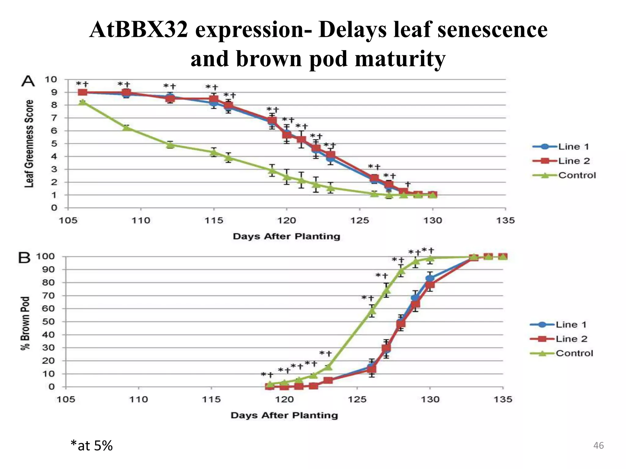B-box proteins in plants bbx family of plant transcription factors | PPTX