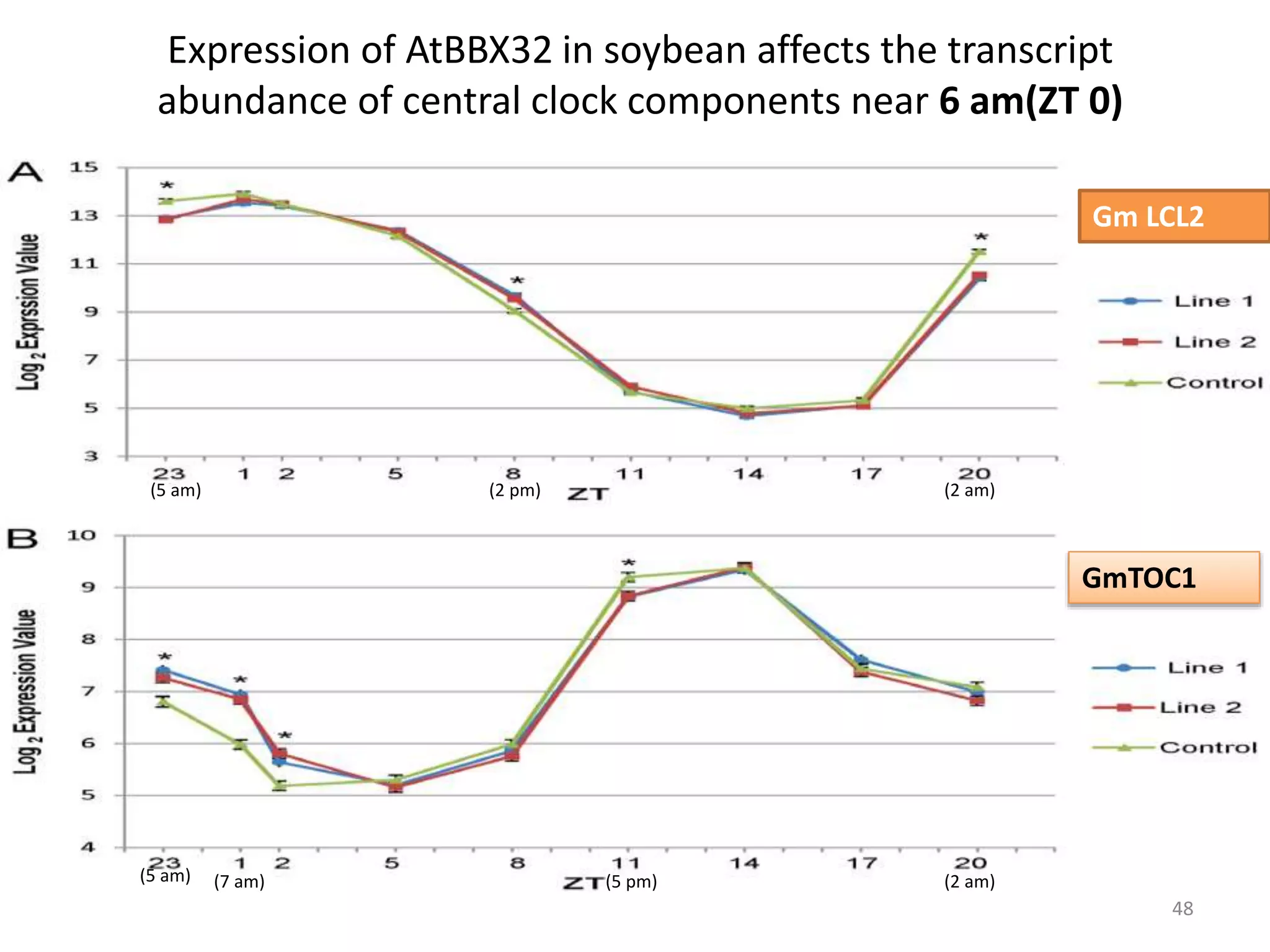 B-box proteins in plants bbx family of plant transcription factors | PPTX