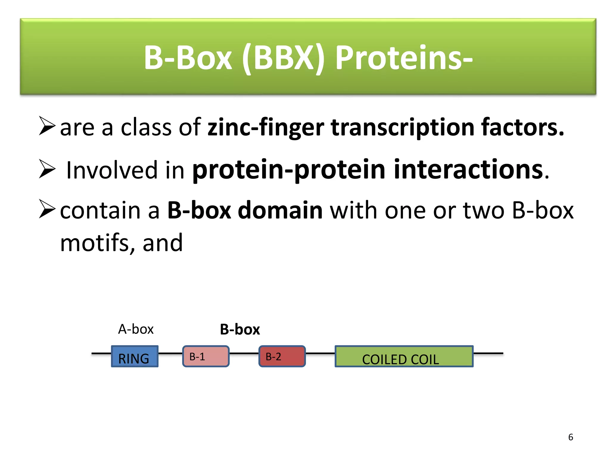 B-box proteins in plants bbx family of plant transcription factors | PPTX