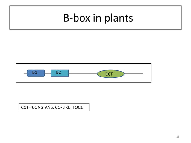 B-box proteins in plants bbx family of plant transcription factors | PPTX