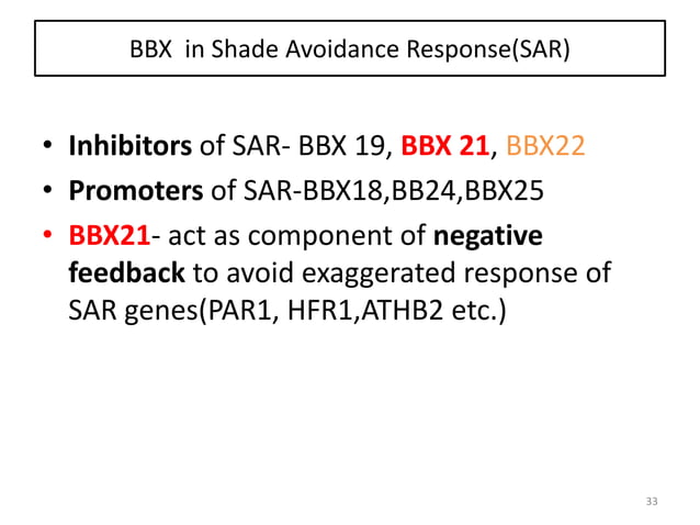 B-box proteins in plants bbx family of plant transcription factors | PPTX