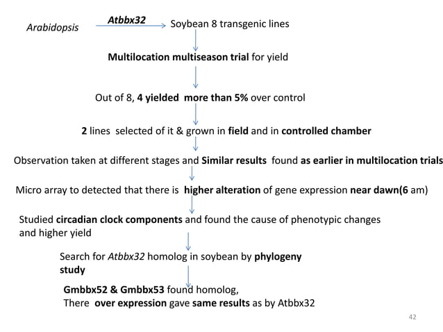 B-box proteins in plants bbx family of plant transcription factors | PPTX