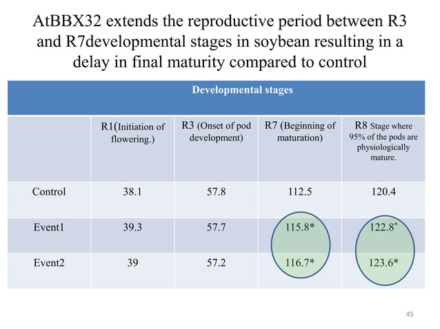 B-box proteins in plants bbx family of plant transcription factors | PPTX